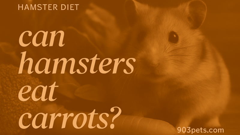 13 Weird Hamster Behaviors Explained (With Meanings)